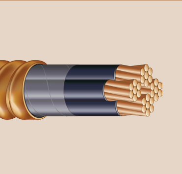 Technical Resources - CircuitSAFE® IBC Cable 15 Minute Fire Rated Power ...